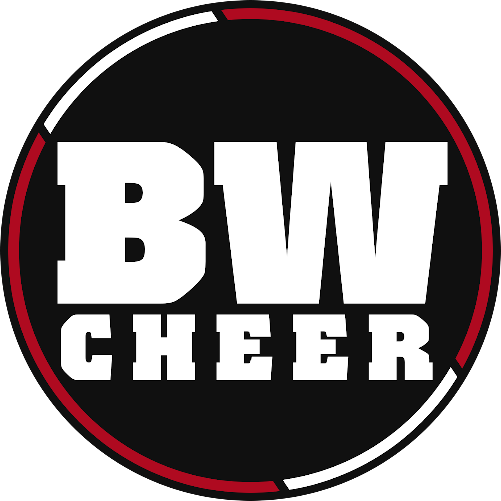 Clinics – Altitude Cheer LLC